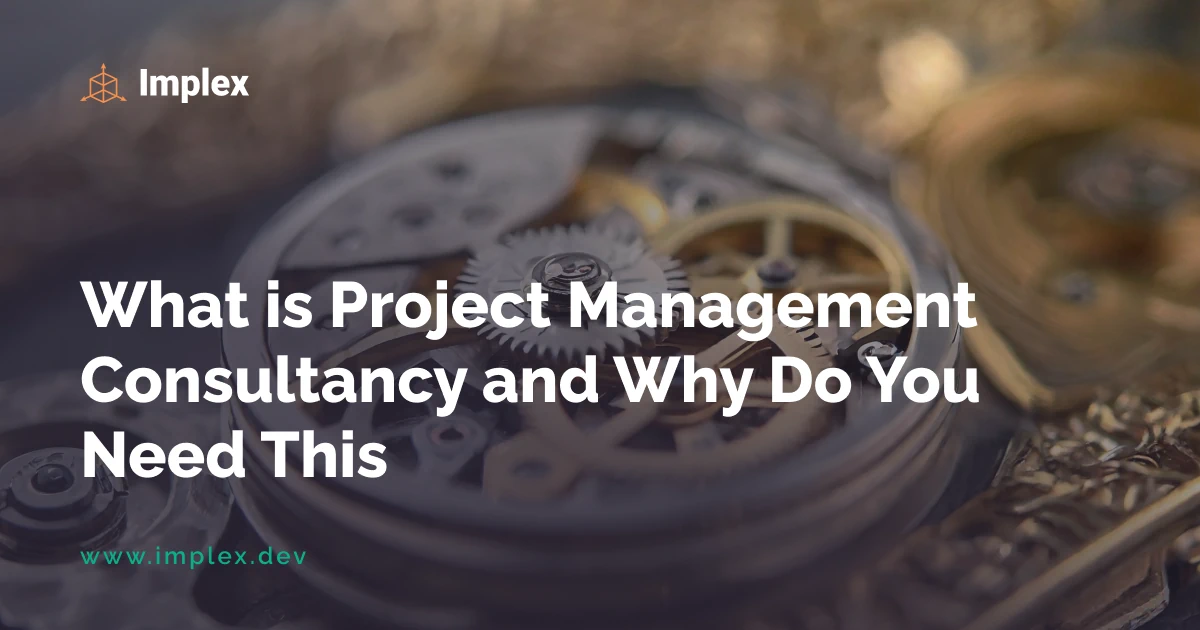 Project Management Consultancy: Why Do You Need This | Implex